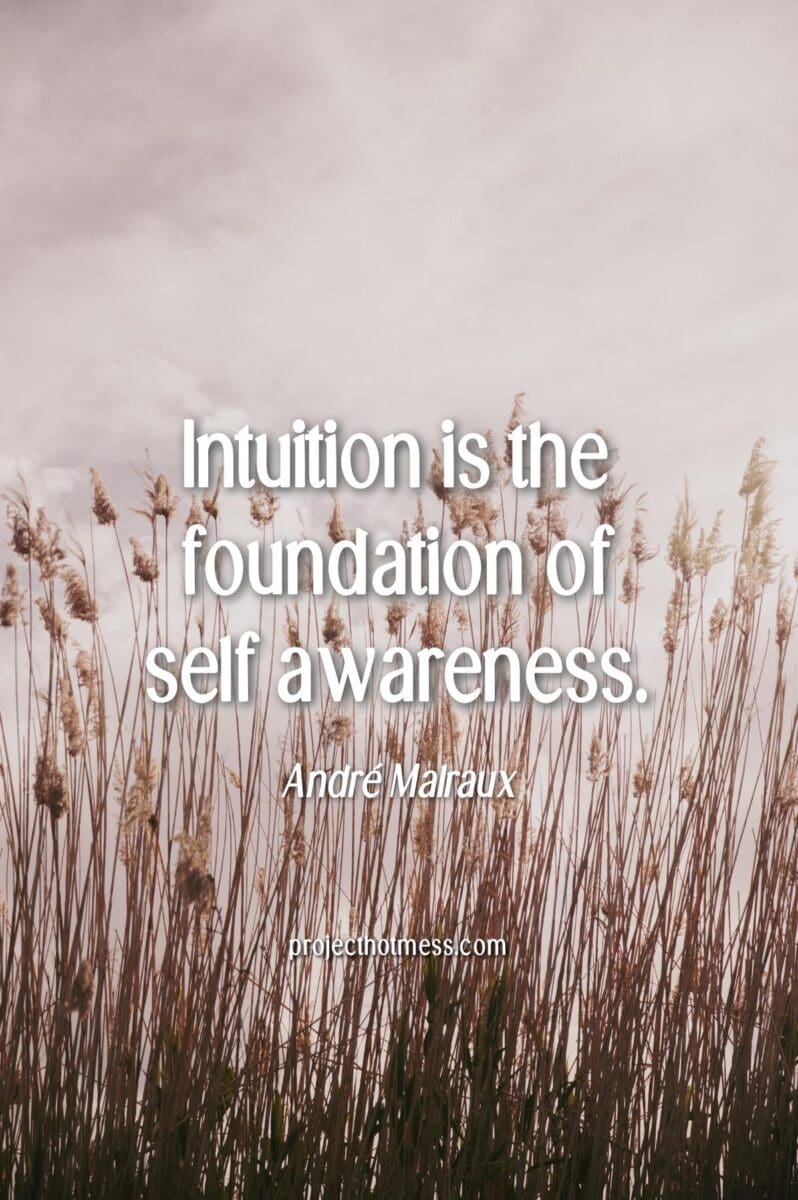 112 Self Awareness Quotes - Get To Know Yourself - Project Hot Mess